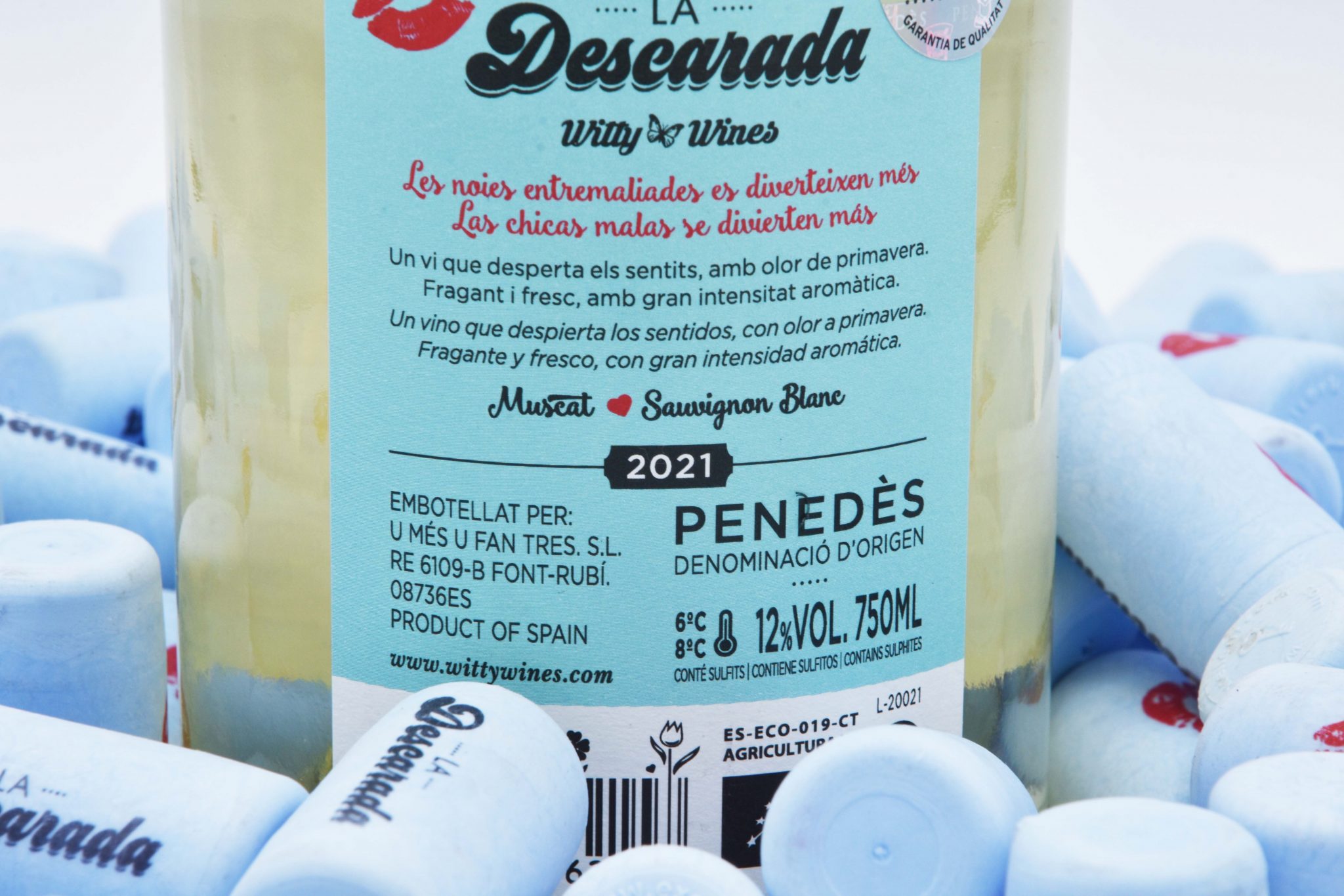 LA DESCARADA 2021, YA DISPONIBLE - Aribau